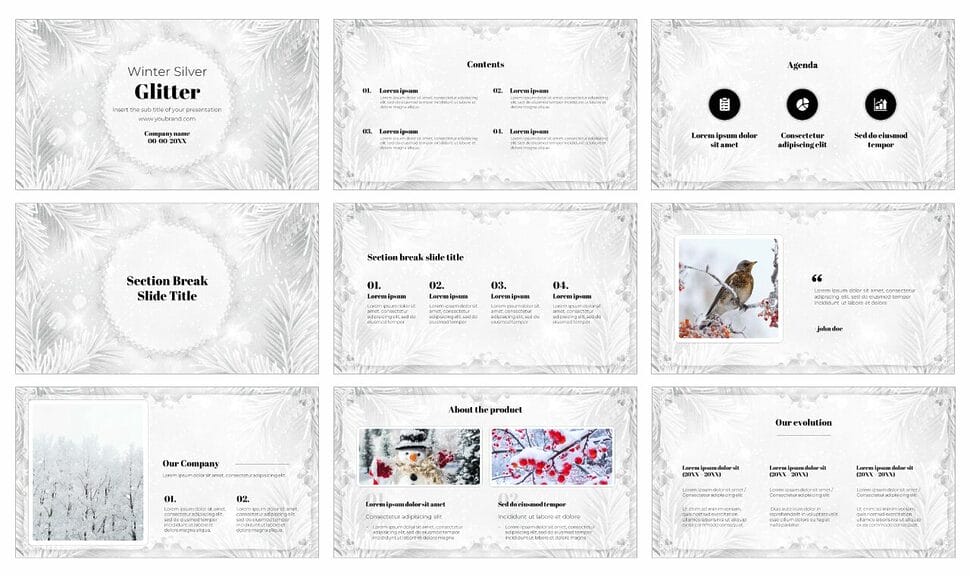 Winter Silver Glitter Google Slides Themes PowerPoint Templates