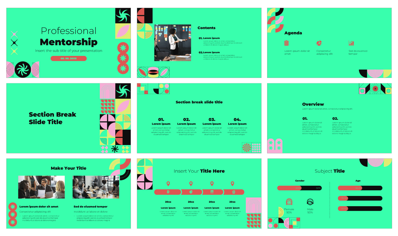 Professional Mentorship Presentation Templates